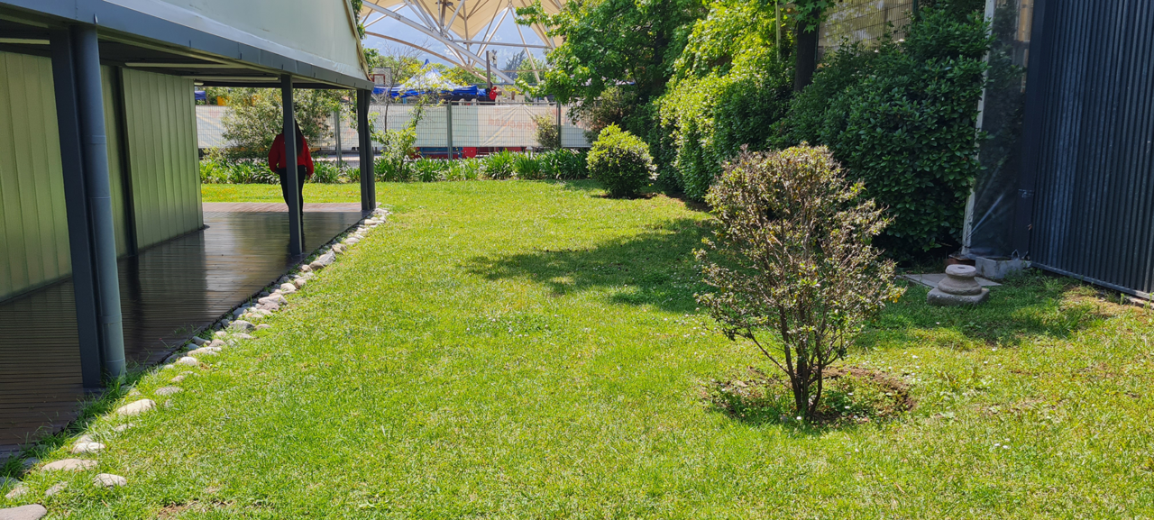 Piscina Municipal, Vitacura | Le corps flottant